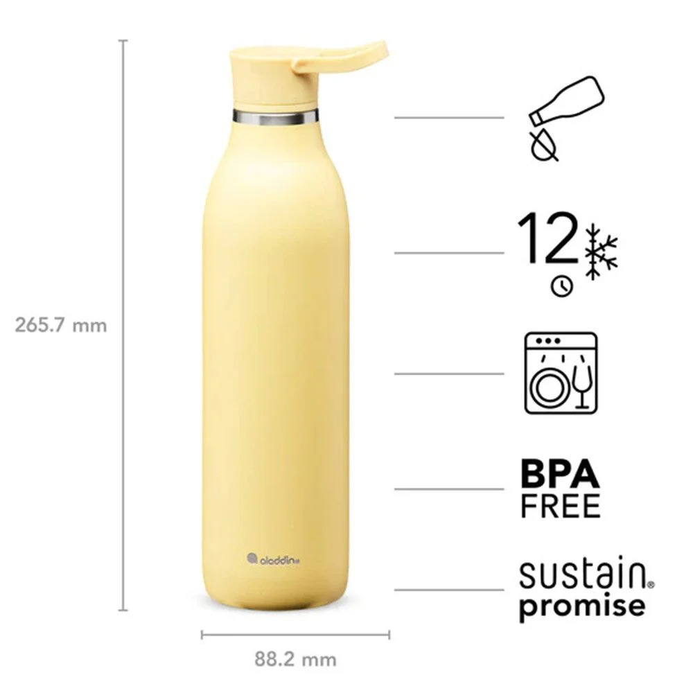 Aladdin 0.6L CityLoop Thermavac™ eCycle Stainless Steel - Çelik Su ...